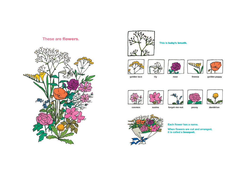 Taro Gomi’s Big Book of Words – Wonder Pens