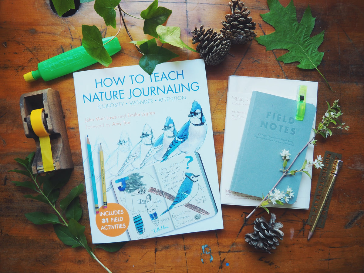 How to Teach Nature Journaling by John Muir Laws and Emilie Lygren ...