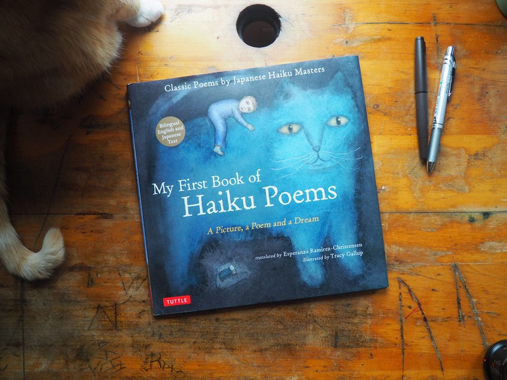 My First Book of Haiku Poems: A Picture, a Poem and a Dream – Wonder Pens
