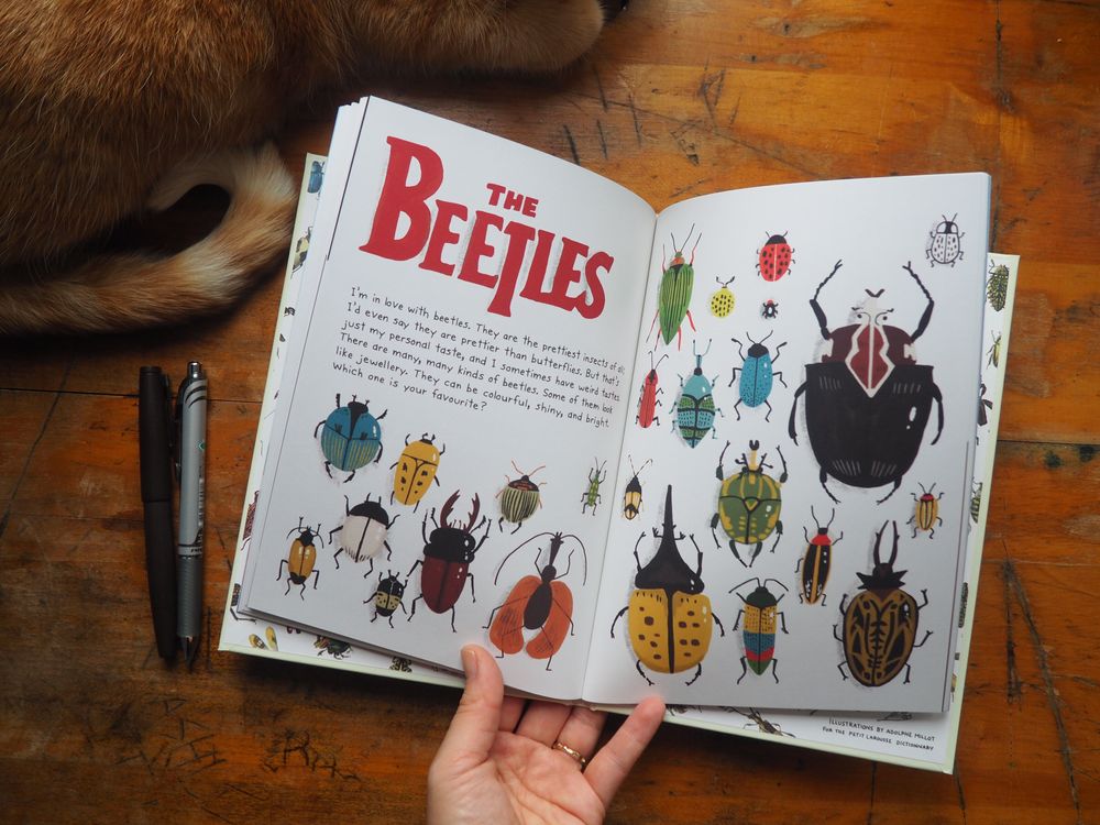 The Bug Club by Elise Gravel – Wonder Pens