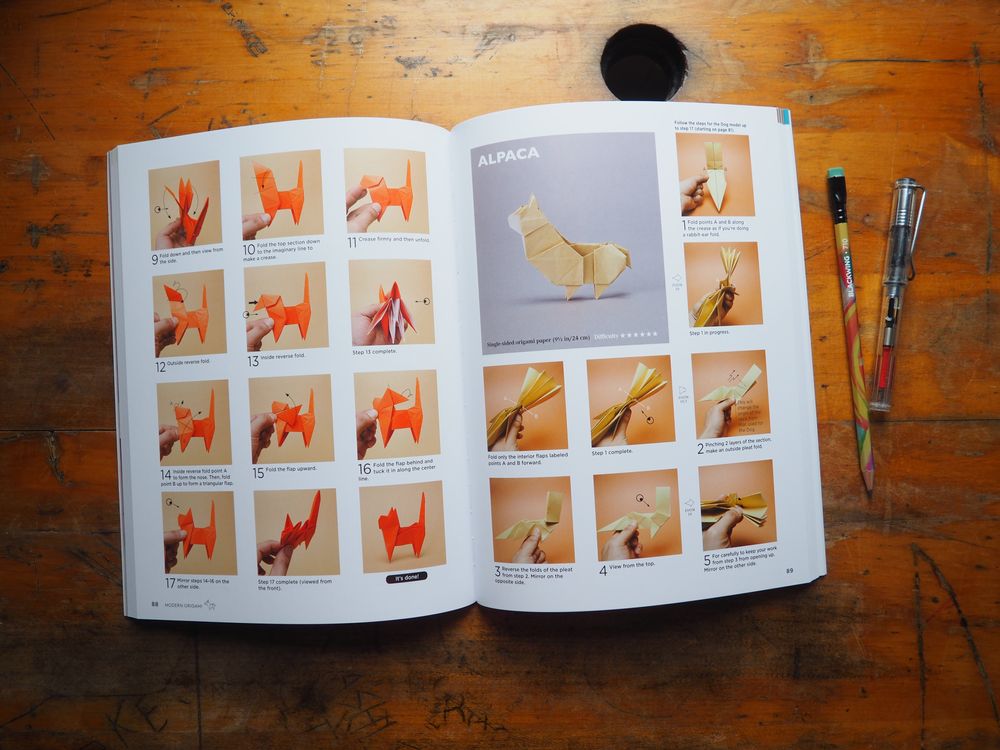 Modern Origami: The Amazing Art of Paper Sculpture (34 Original Projec ...