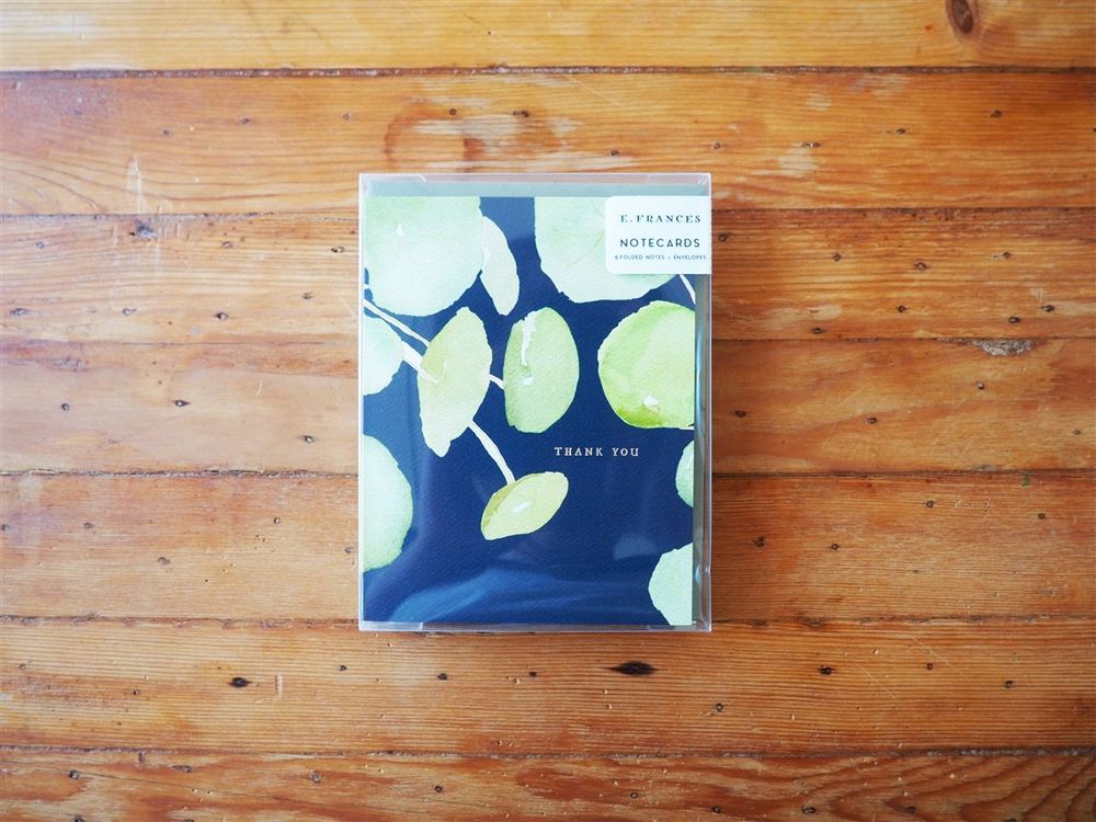 E. Frances Paper - 6 Boxed Card Set - Pancake Plant Thank You – Wonder Pens