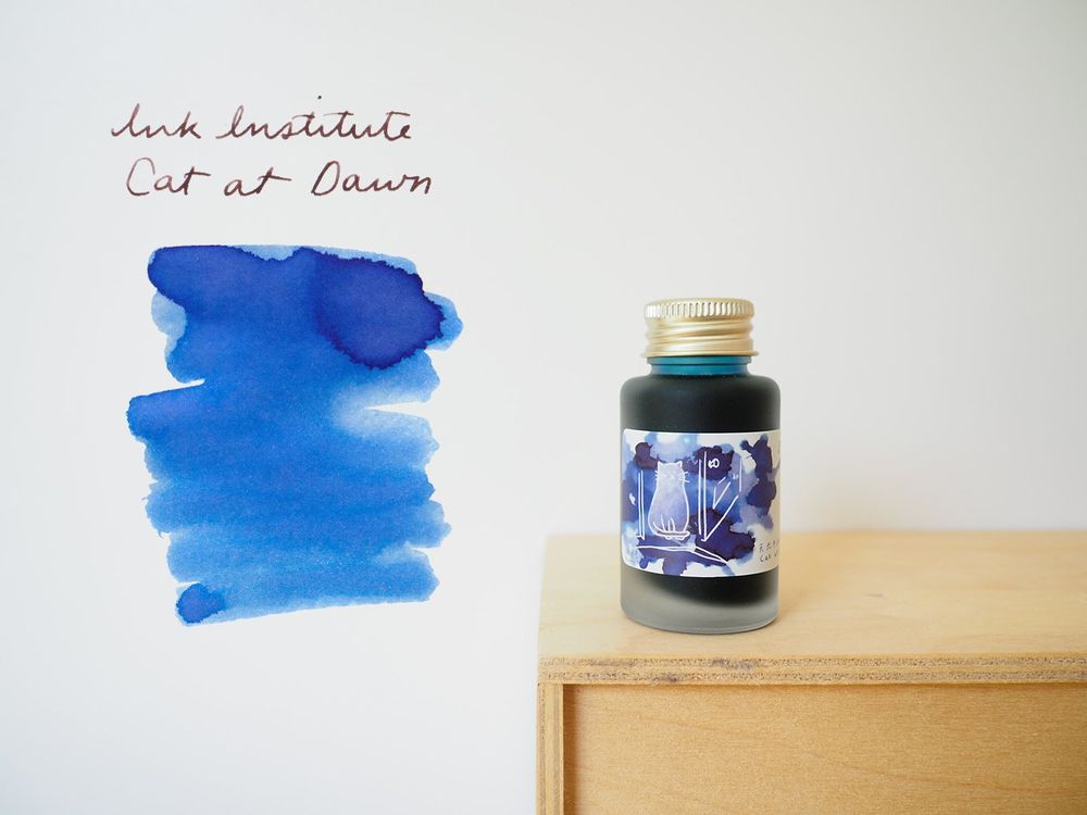 Ink Institute Fountain Pen Ink (30mL) - Cat at Dawn – Wonder Pens